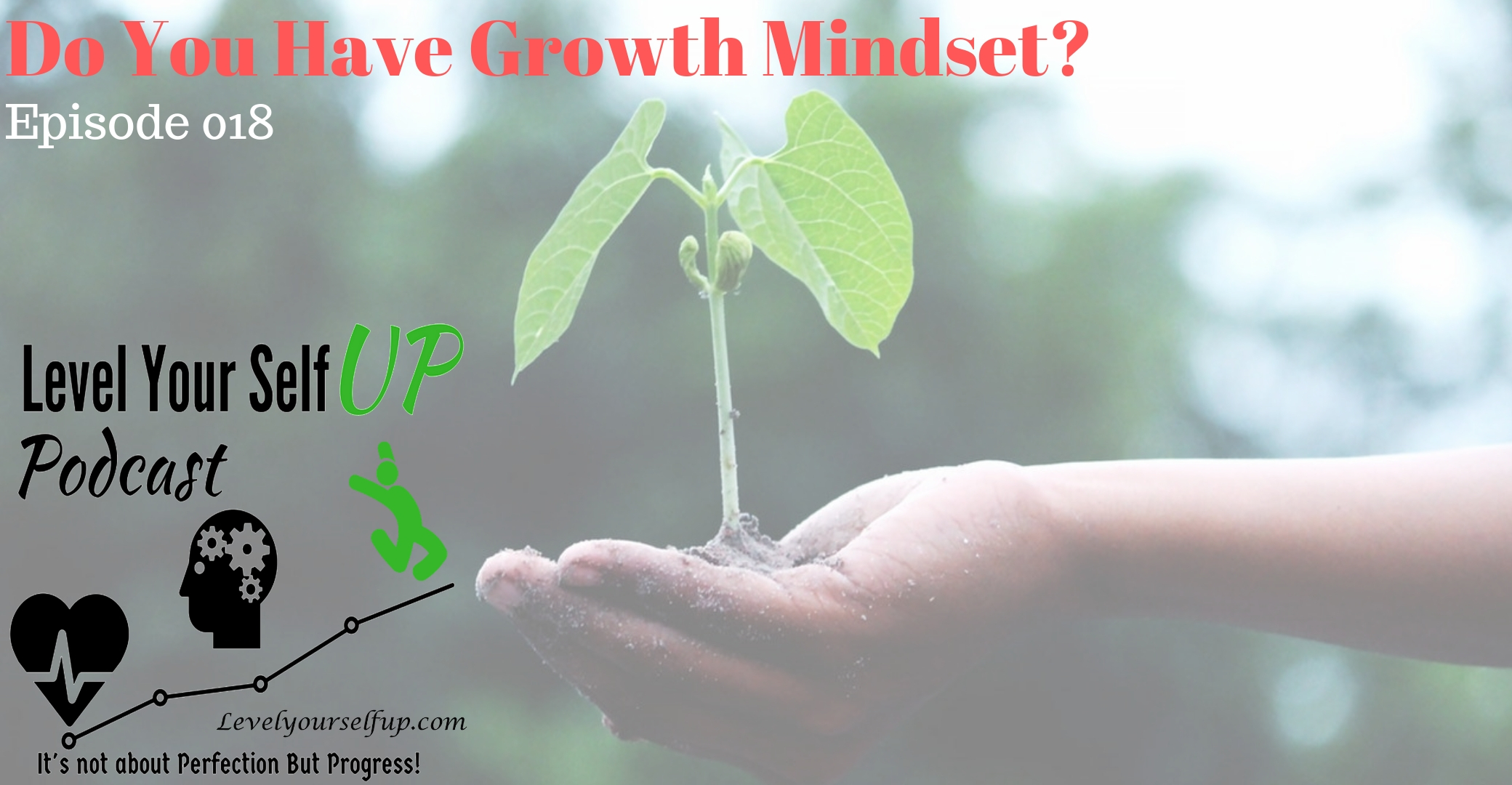 018 Do You Have a Growth Mindset - Level YourSelf UP