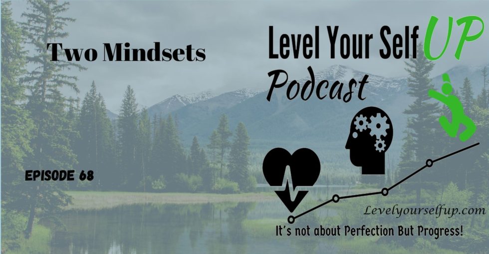 Two Mindsets | Level YourSelf UP